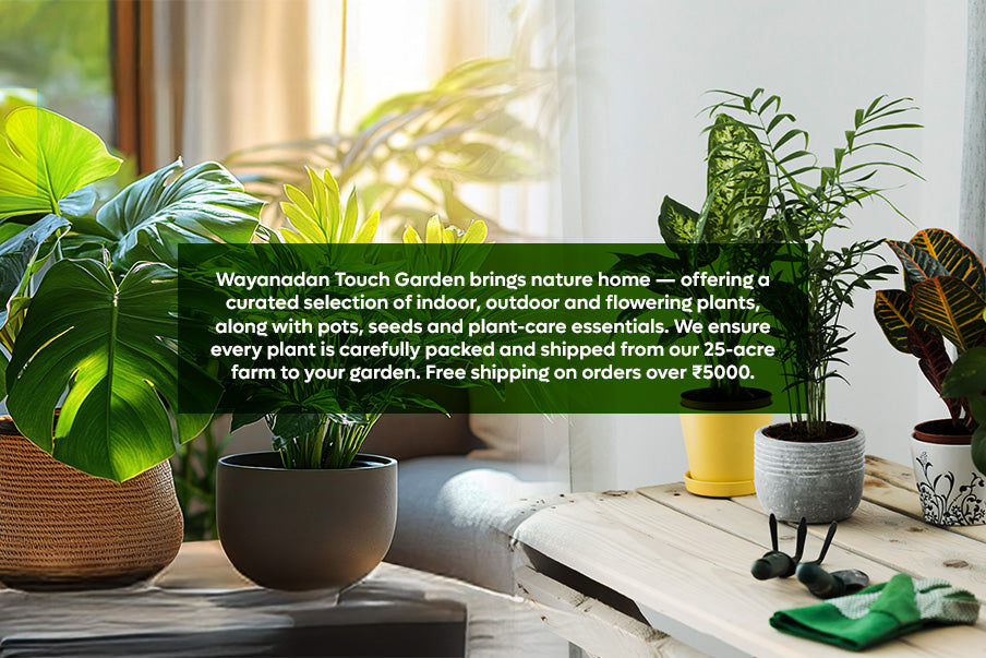 Wayanadan Touch Garden - The Garden of your dreams.